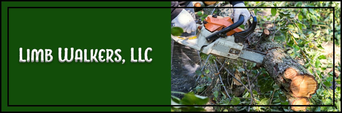 Gallery - Limb Walkers, LLC